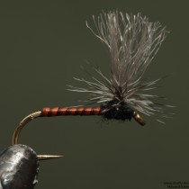 Dryfly | flyfisher.org | Page 4