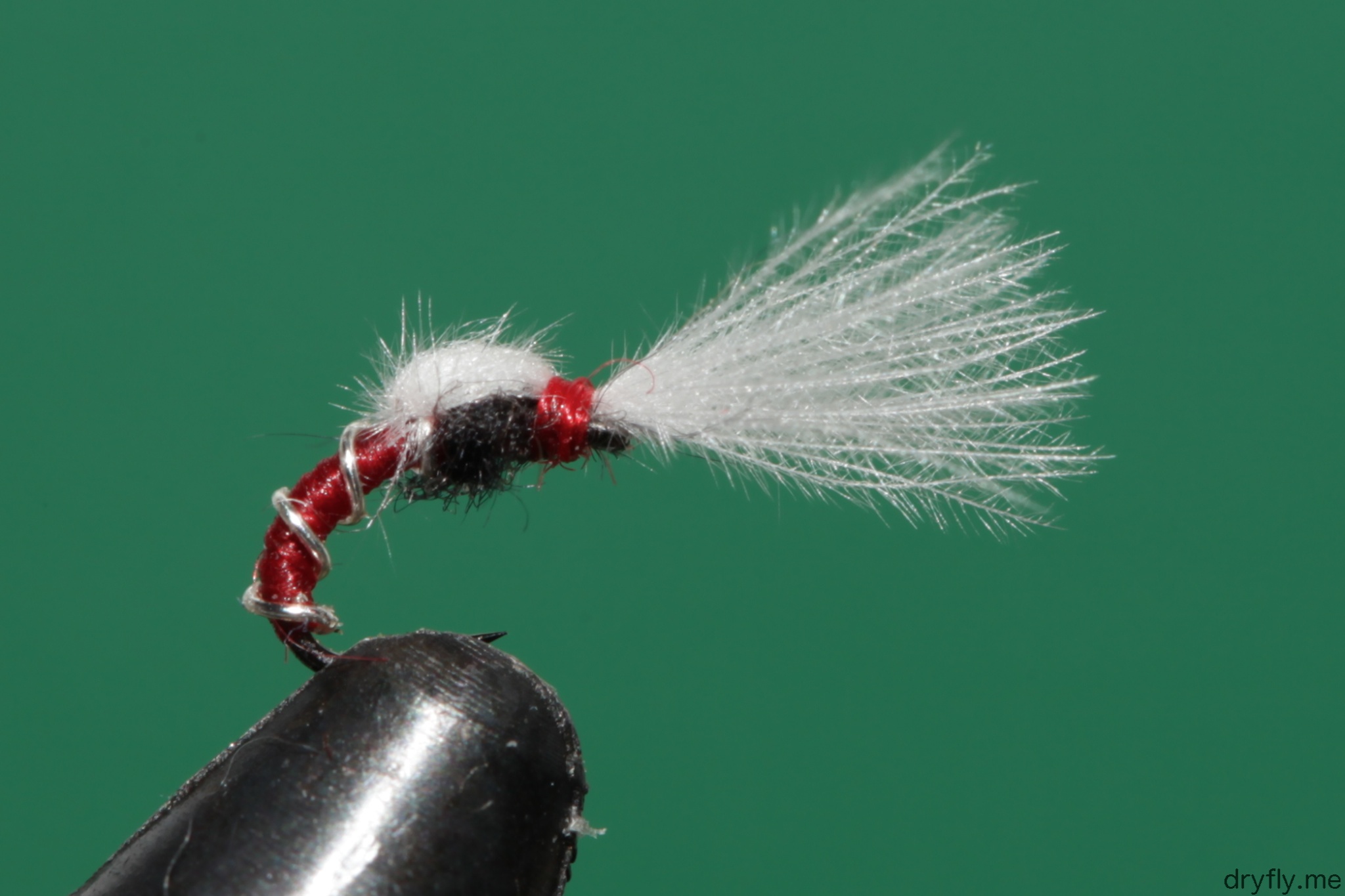 CDC Suspender Midge | flyfisher.org