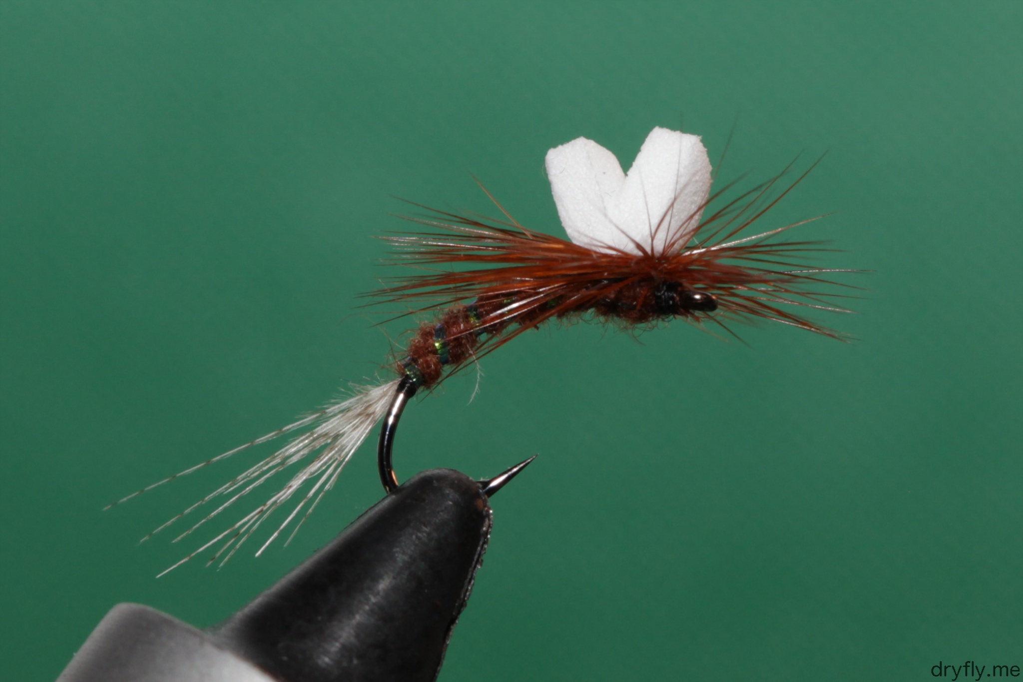 Brown Hatch | flyfisher.org