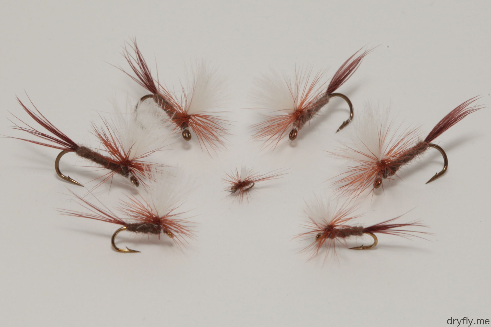 taimen | flyfisher.org