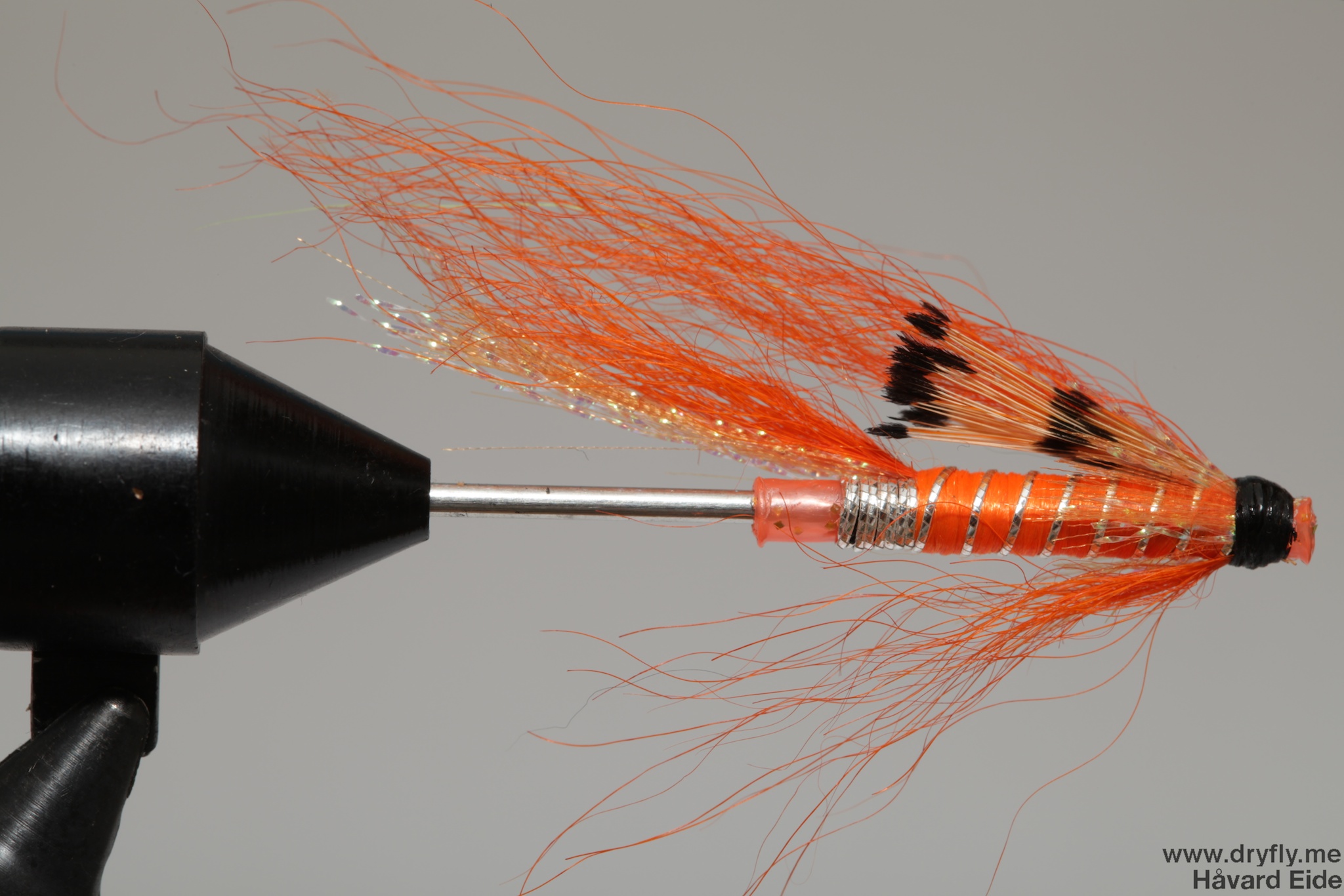 Tube: orange shrimp | flyfisher.org