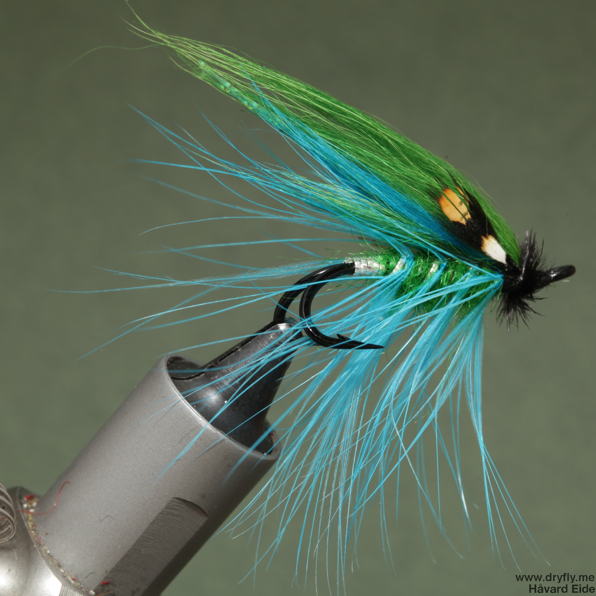 taimen | flyfisher.org