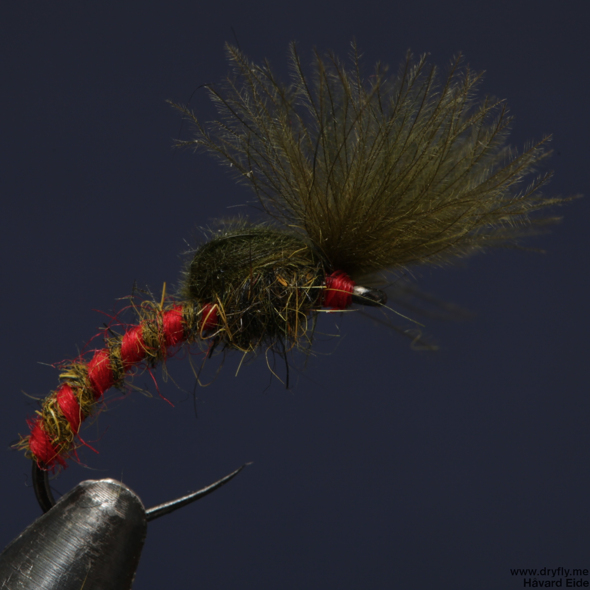 Red & Green CDC Emerger | flyfisher.org