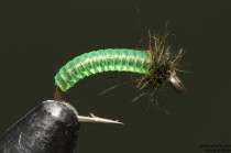 14-18 | flyfisher.org