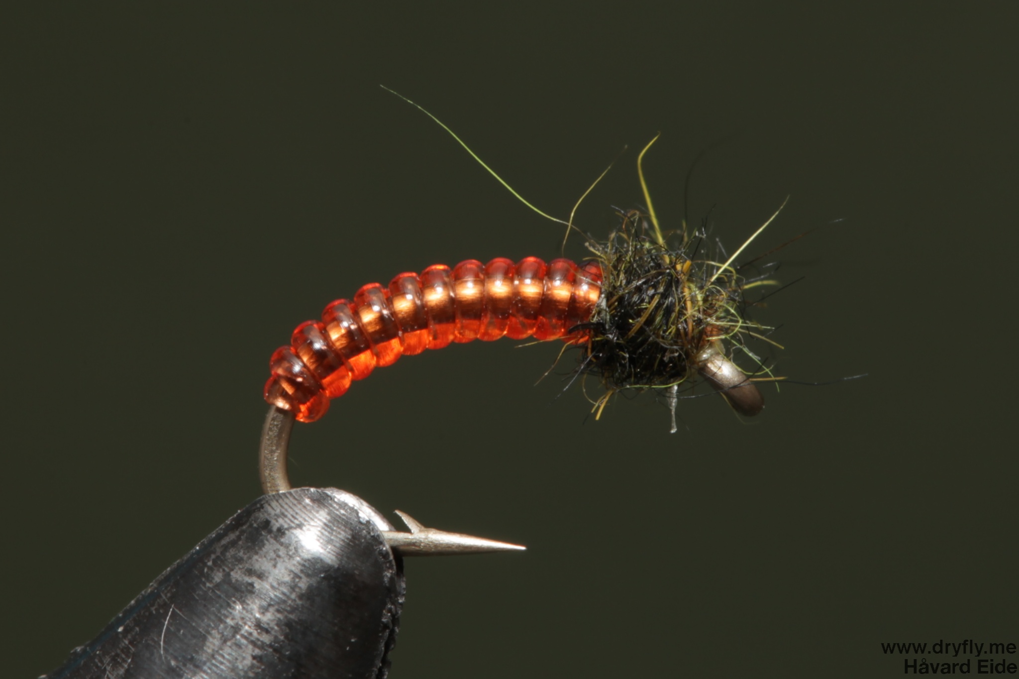 nymph | flyfisher.org