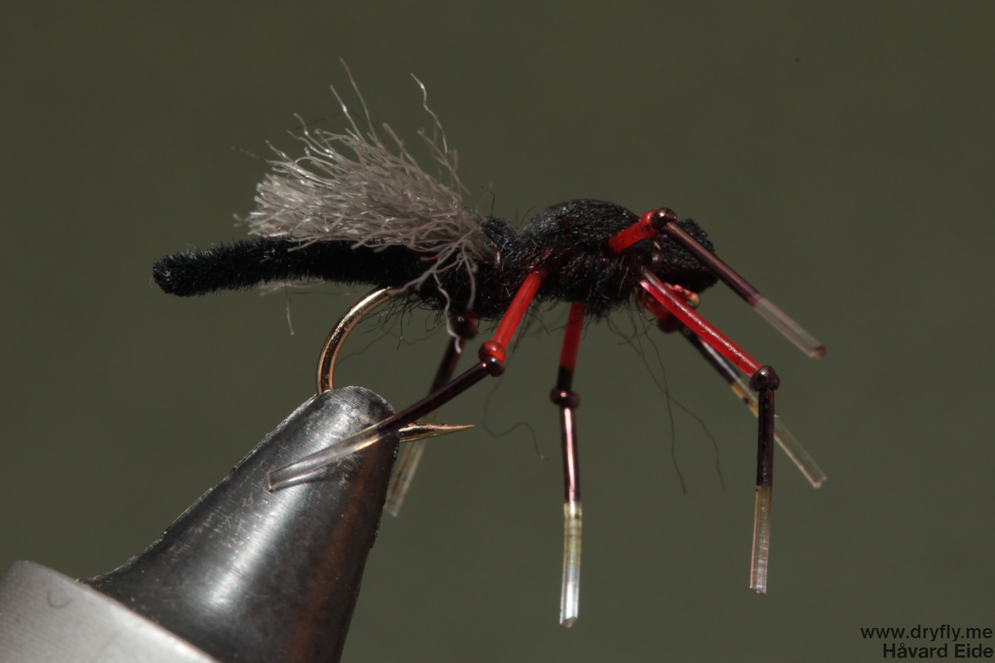 Bibio | flyfisher.org