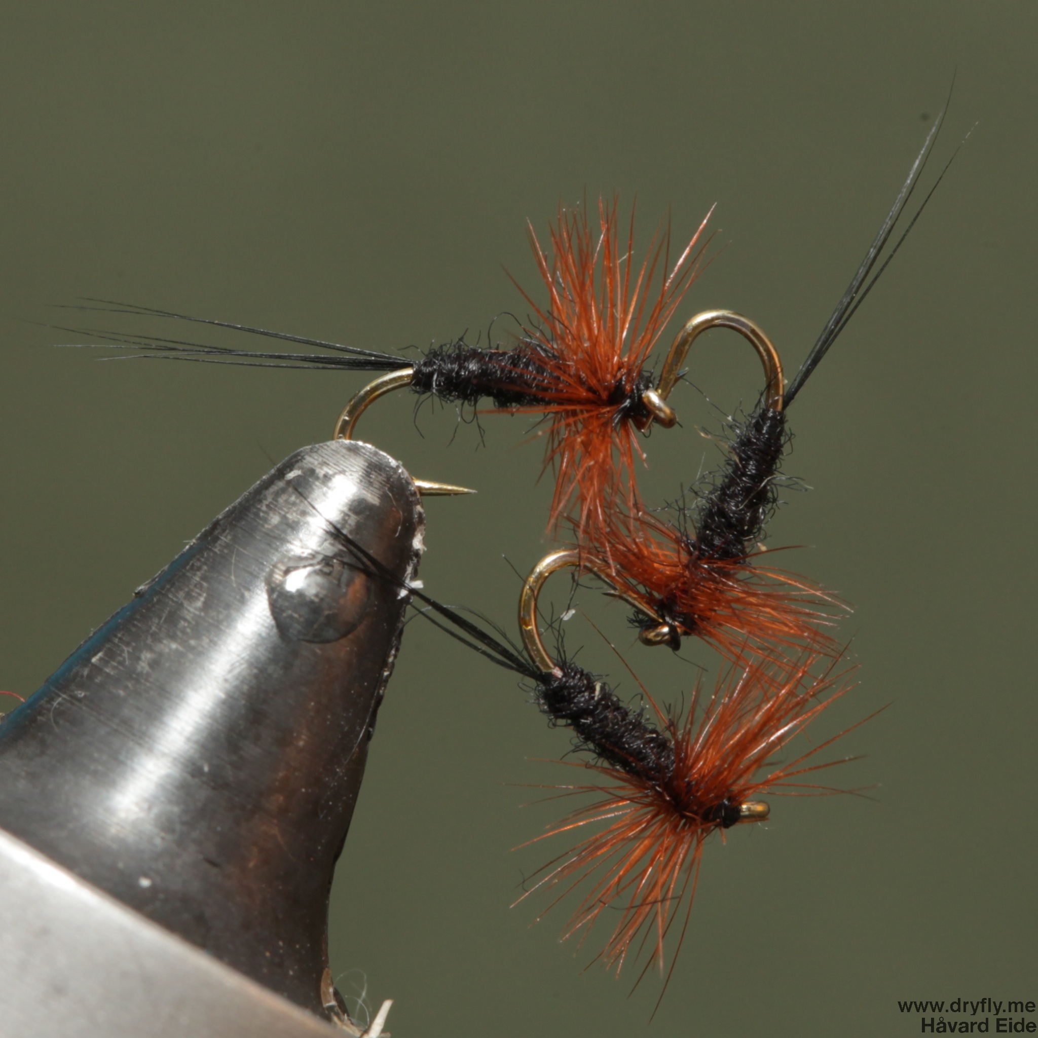 Tiny Midges | flyfisher.org