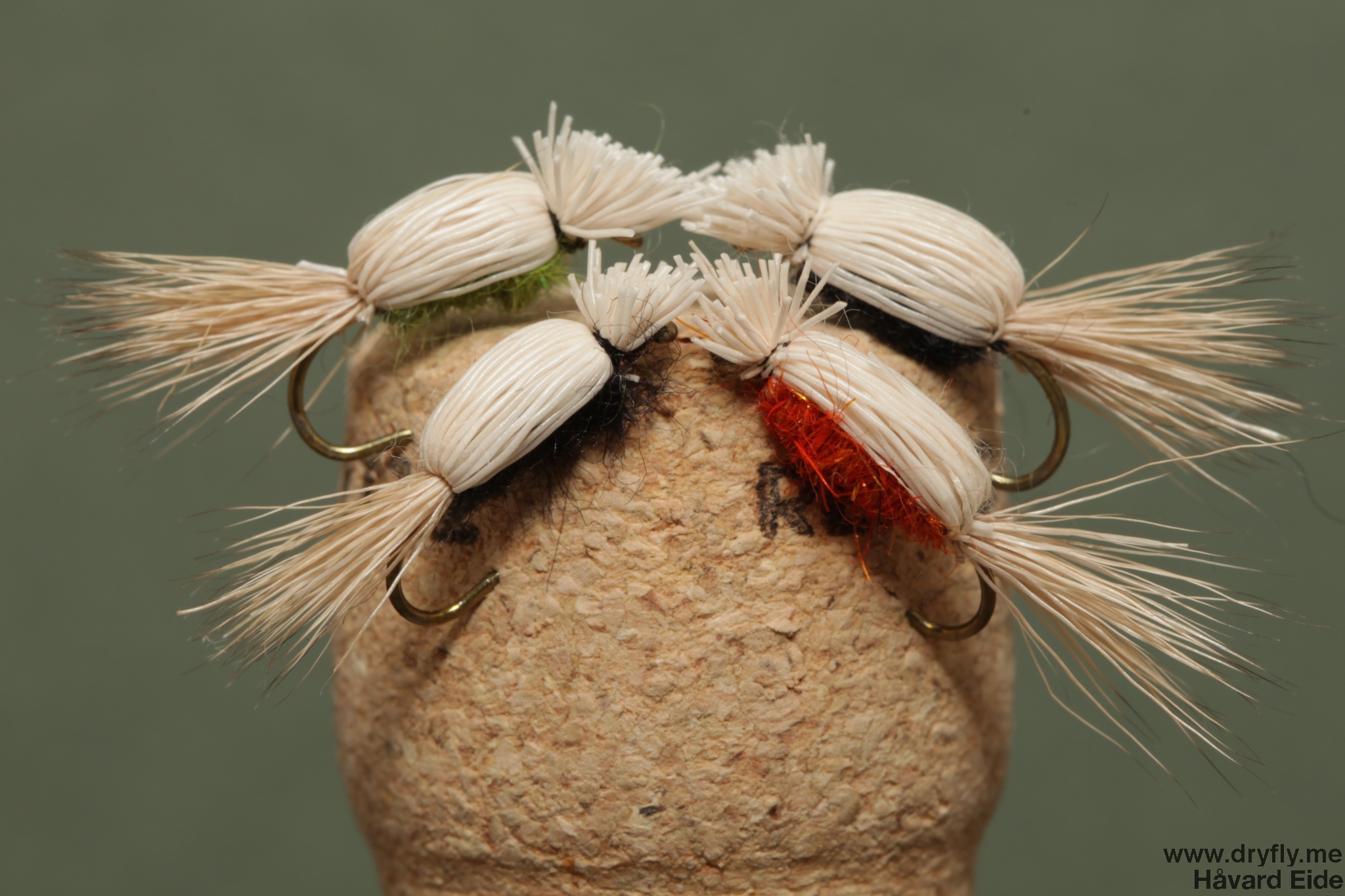 Devil Bug | flyfisher.org