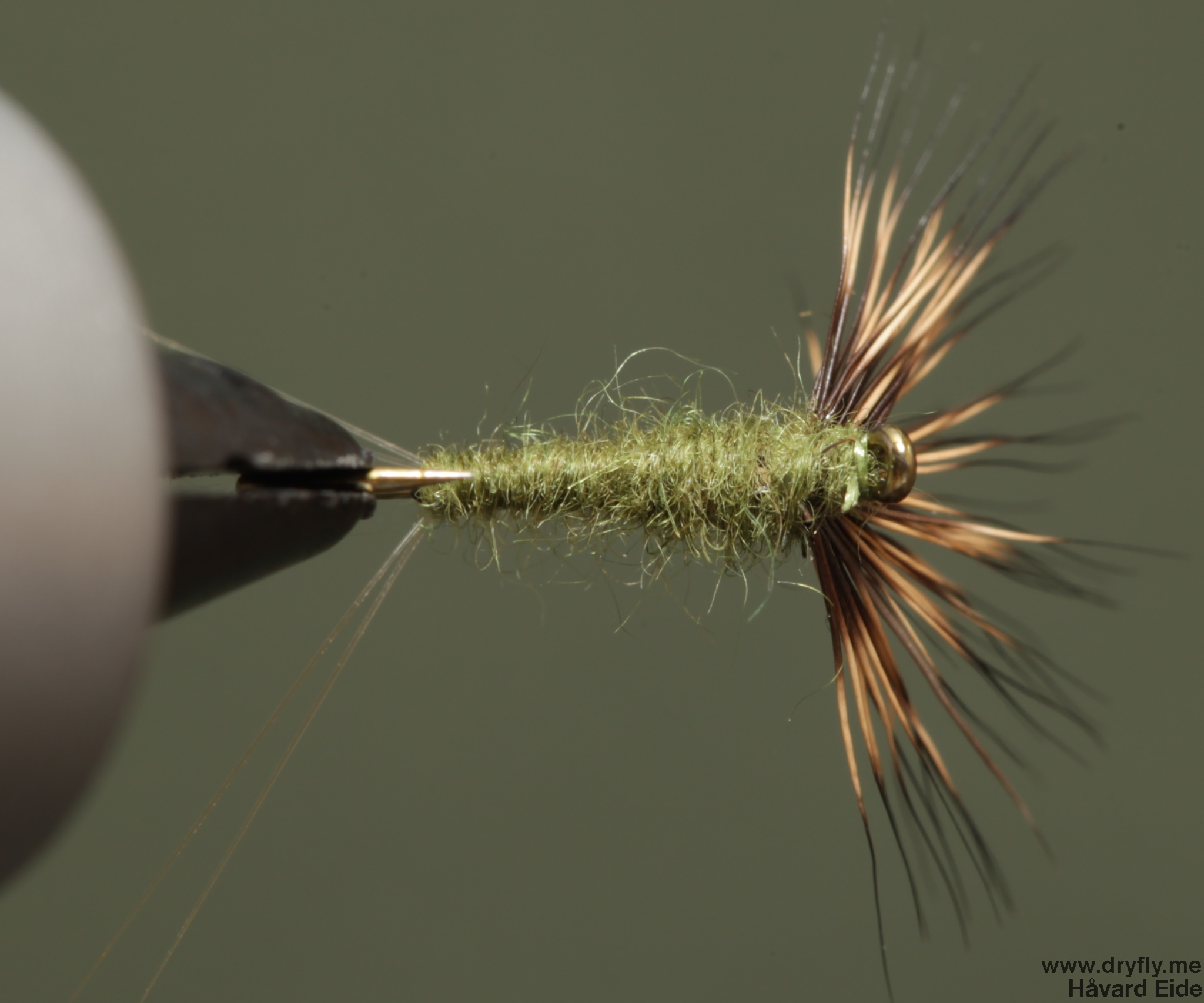 taimen | flyfisher.org