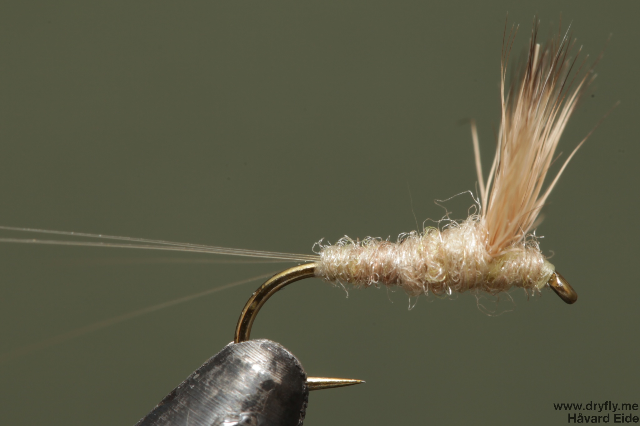 Dryfly | flyfisher.org | Page 3