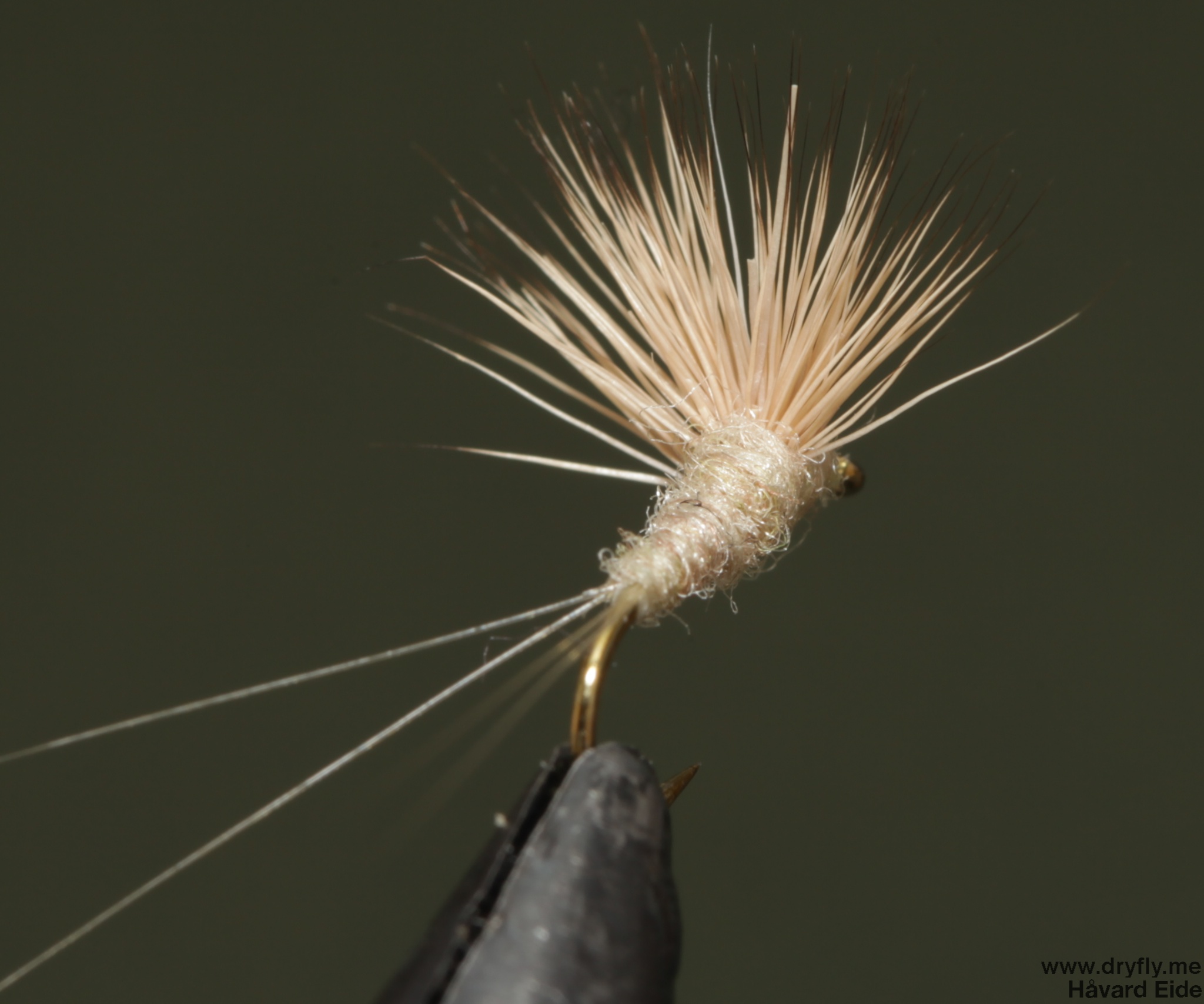 Dryfly | flyfisher.org | Page 3