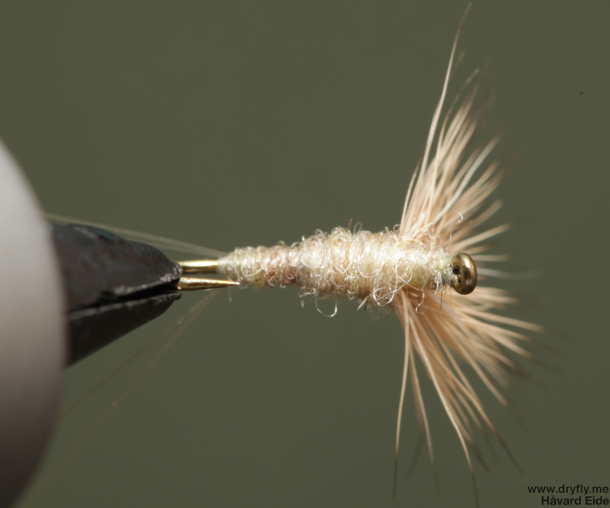 Dryfly | flyfisher.org | Page 3