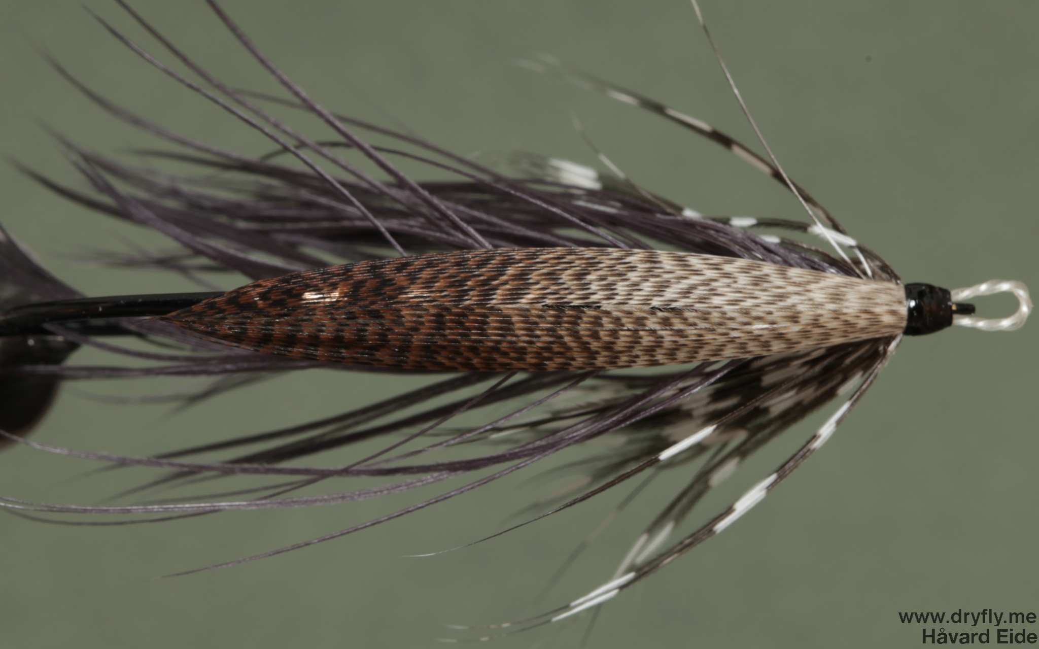 2/0-9/0 | flyfisher.org