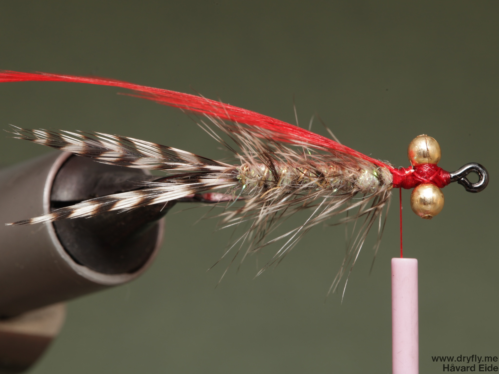 SBS: Polar Magnus | flyfisher.org