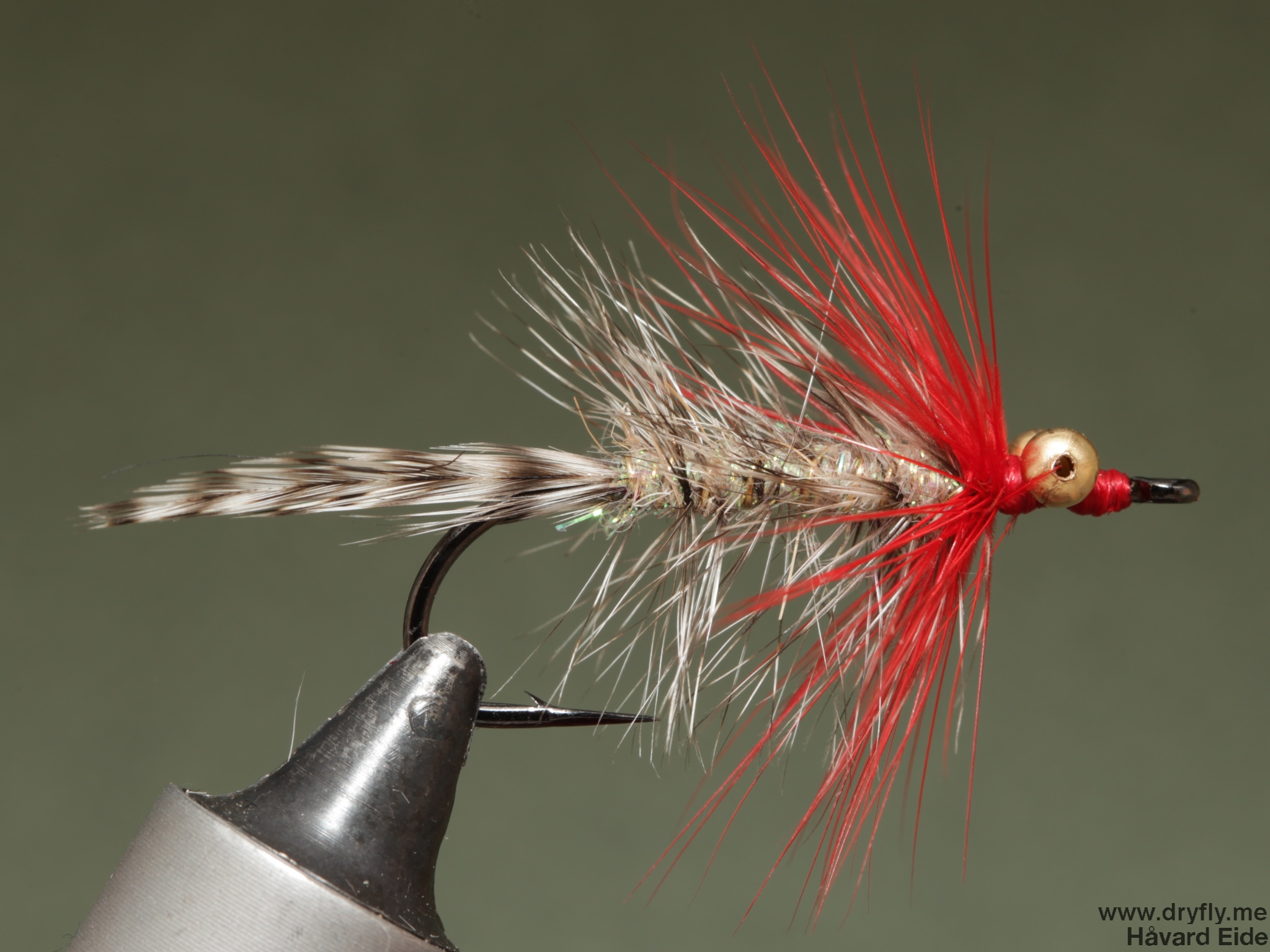 SBS: Polar Magnus | flyfisher.org