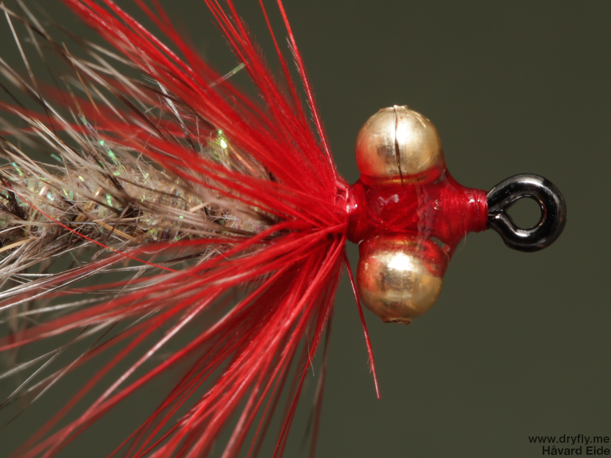 SBS: Polar Magnus | flyfisher.org