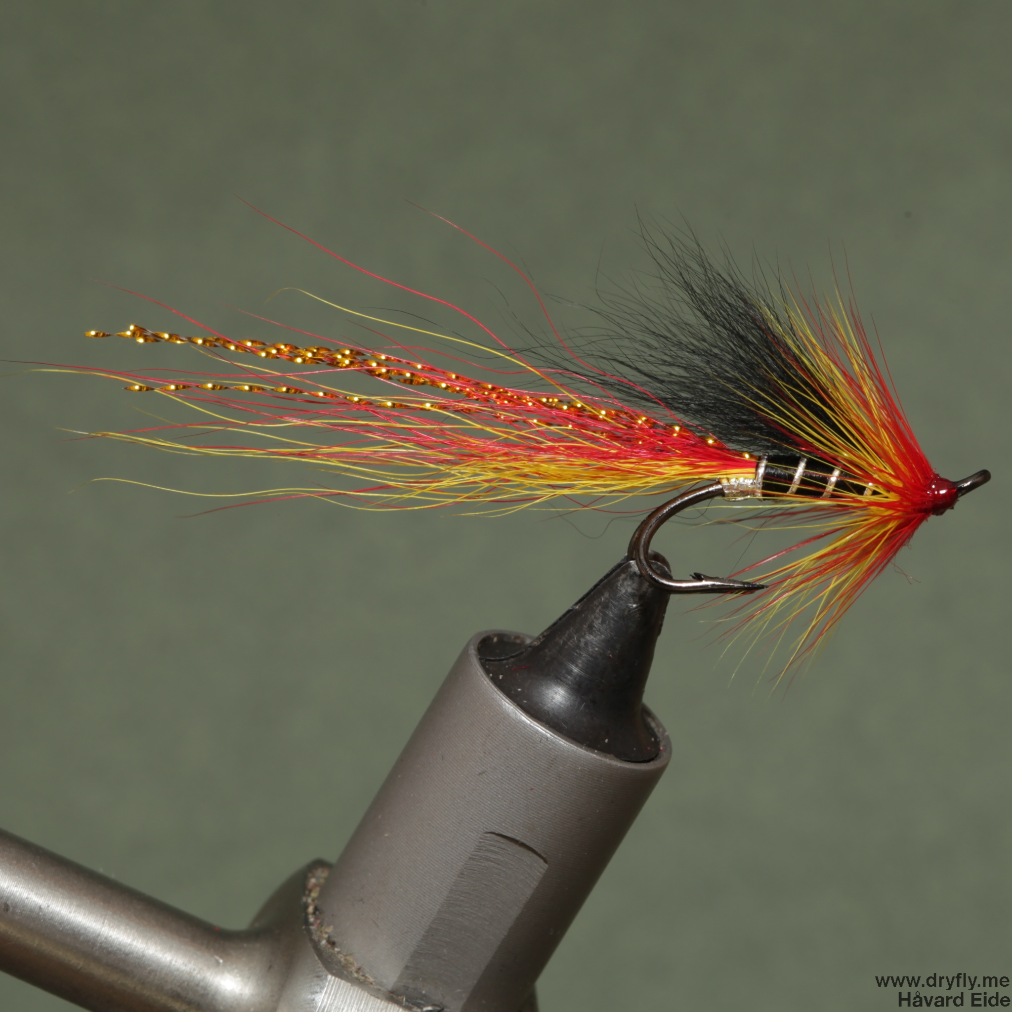 Cascade | flyfisher.org