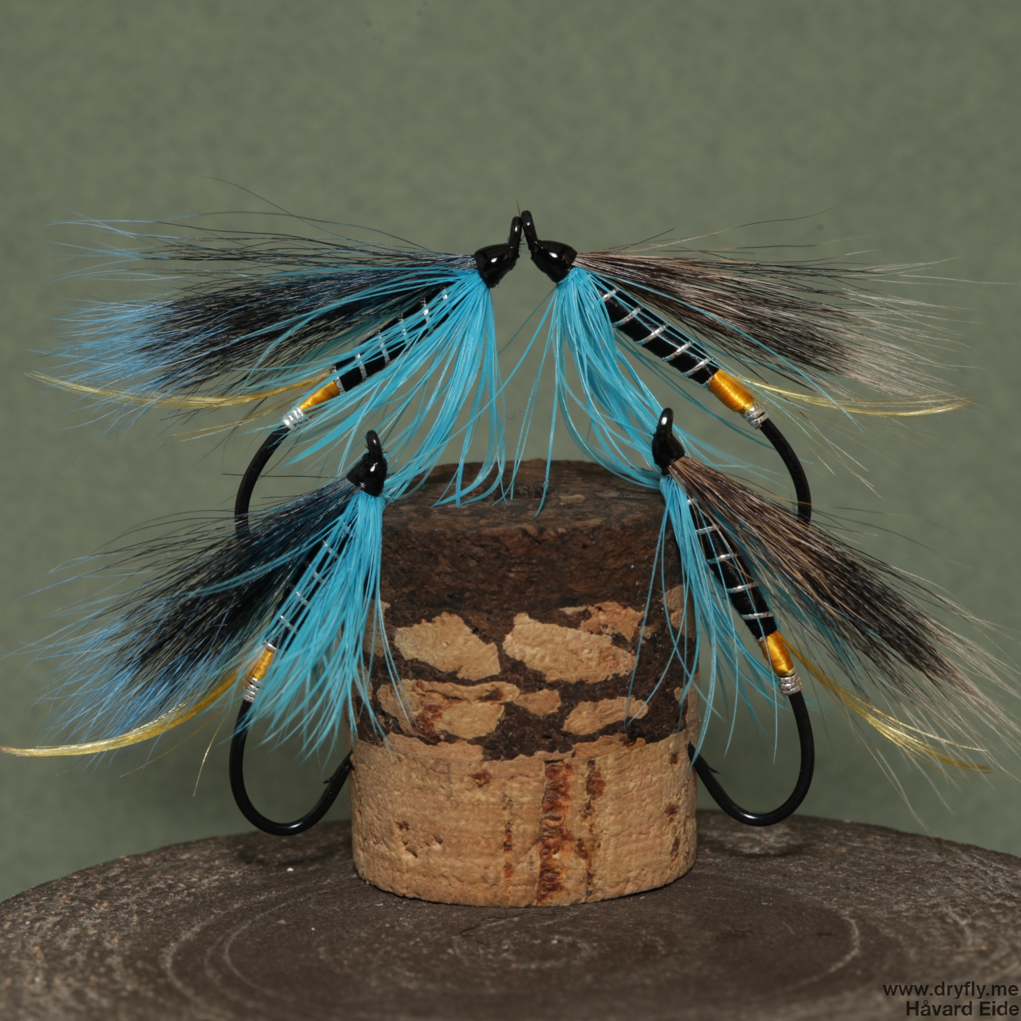 Blue Charm | flyfisher.org