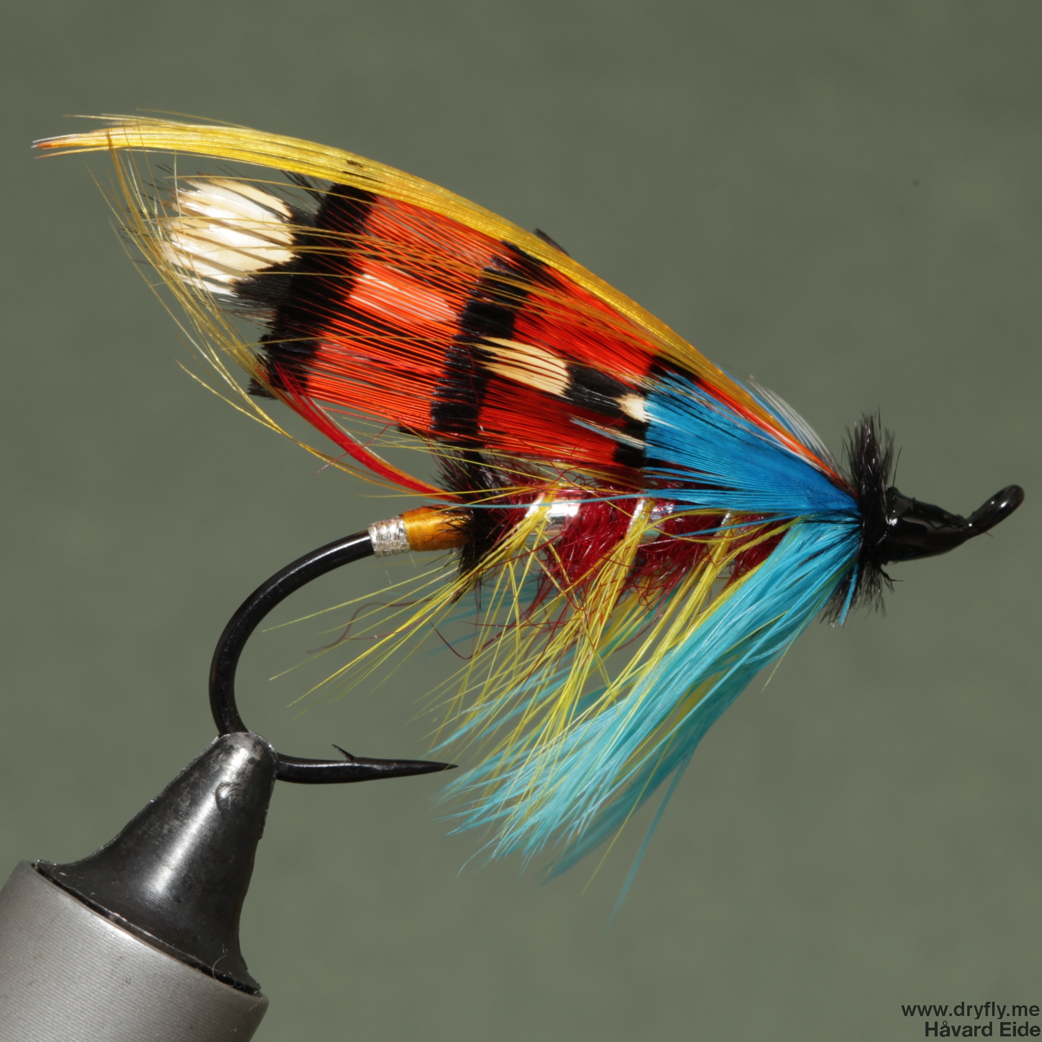 Durham Ranger Variant | flyfisher.org