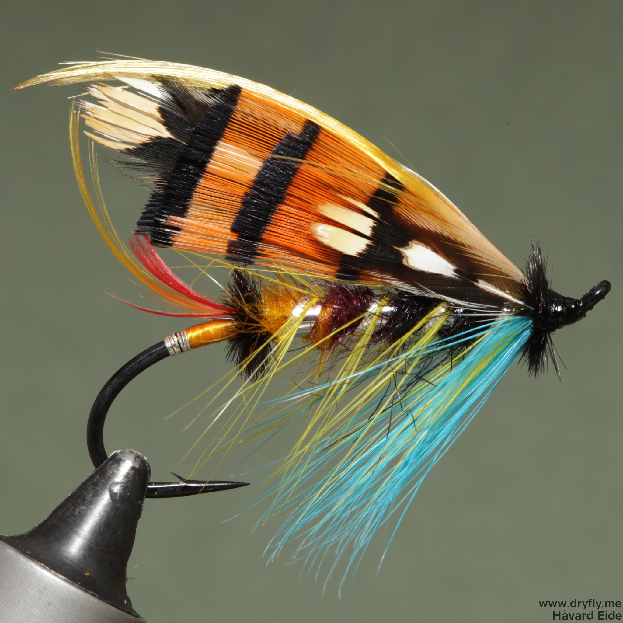 Durham Ranger | flyfisher.org