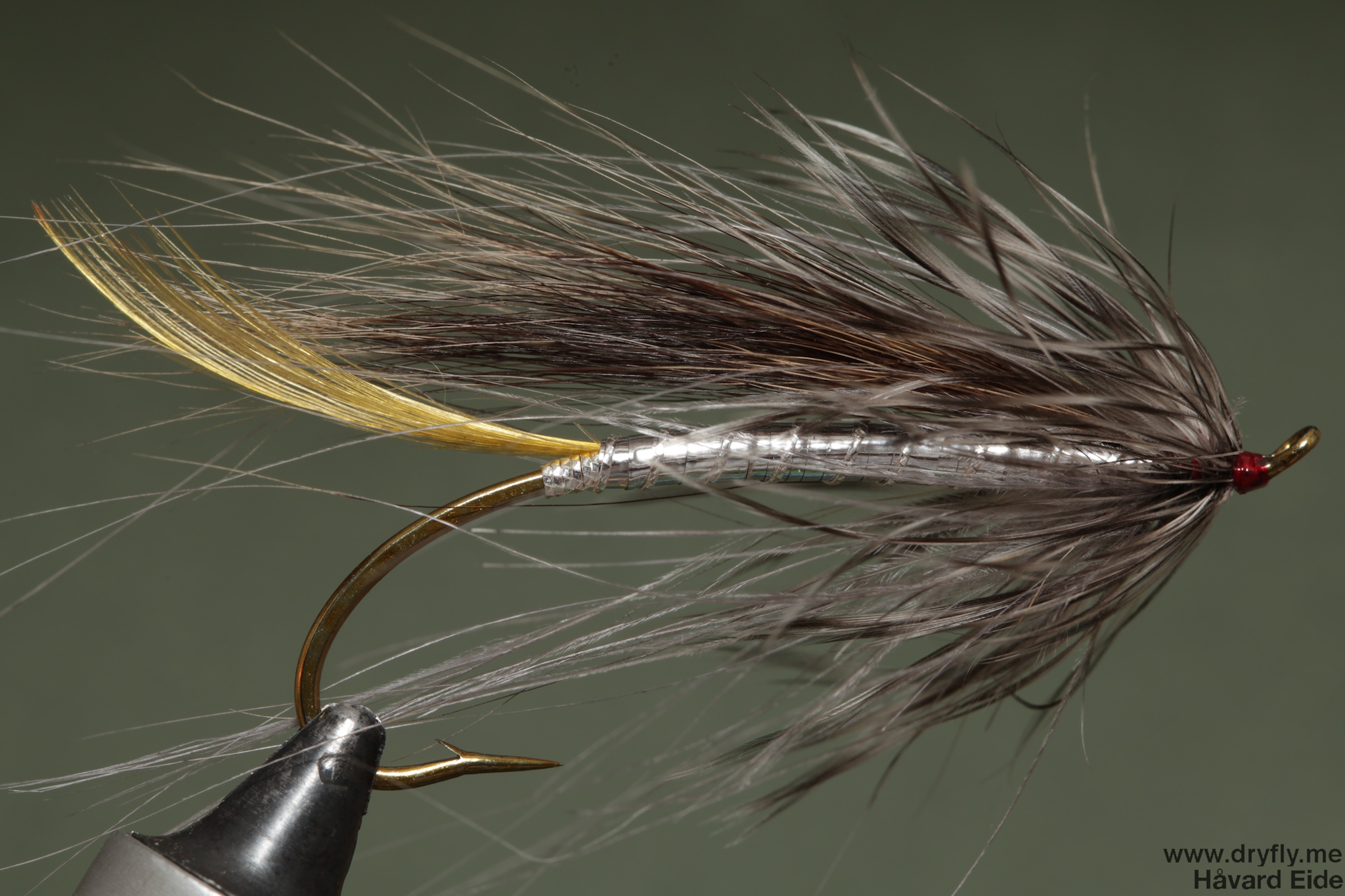 Silver Rat Spey | flyfisher.org