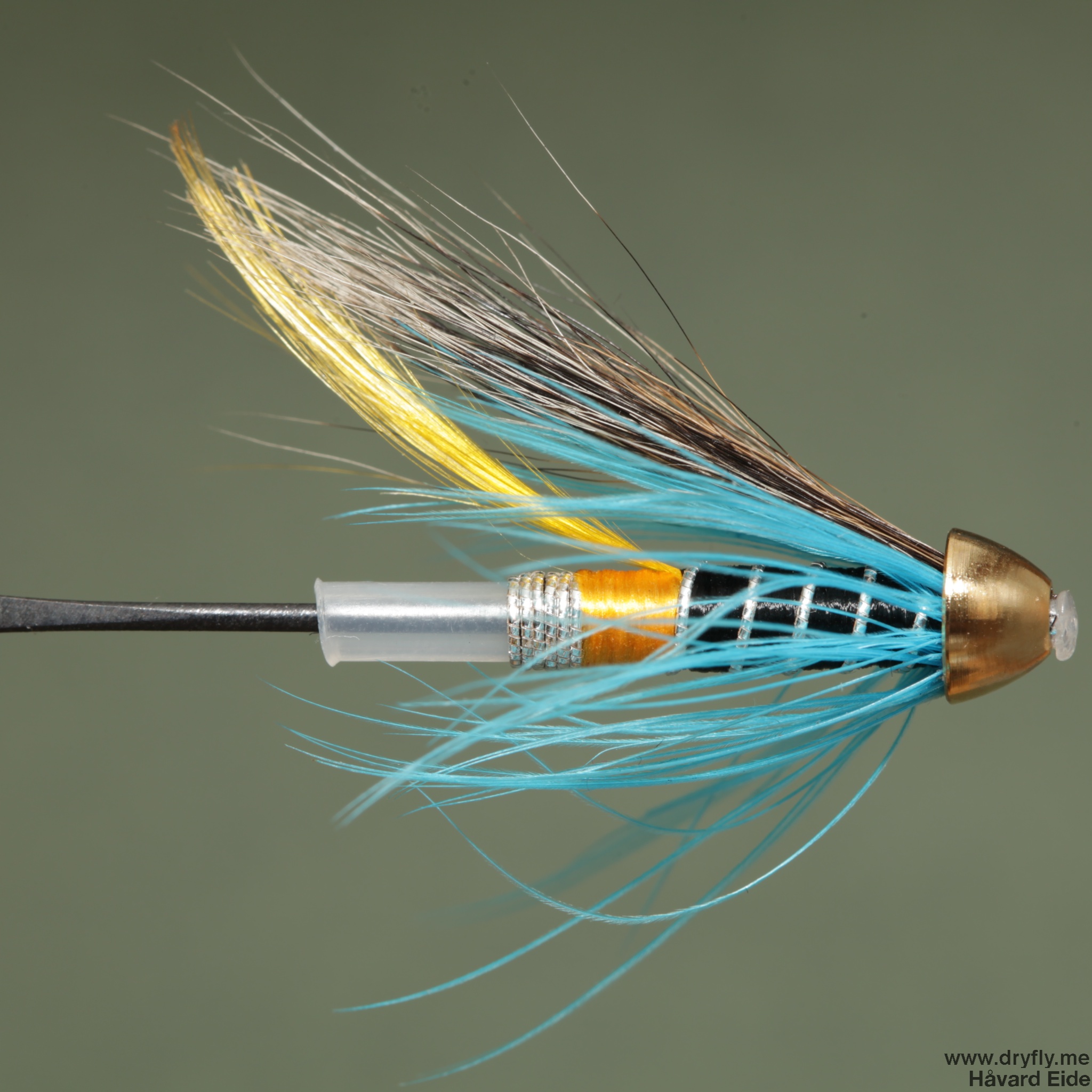 blue charm | flyfisher.org