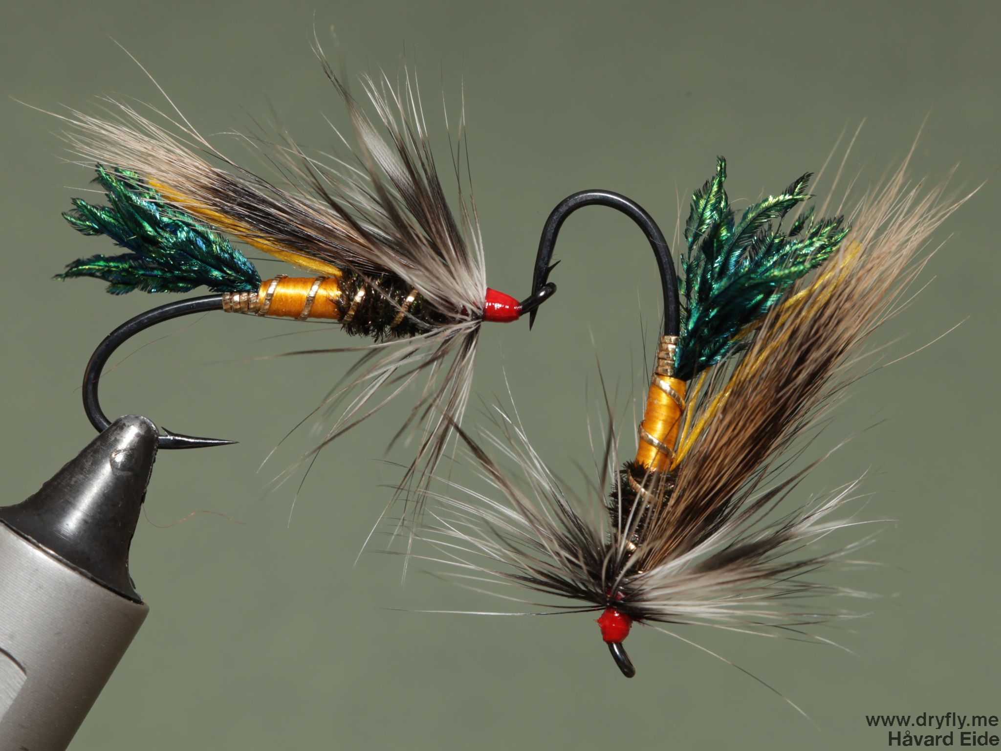 Rusty Rat: 10 different sizes and types | flyfisher.org