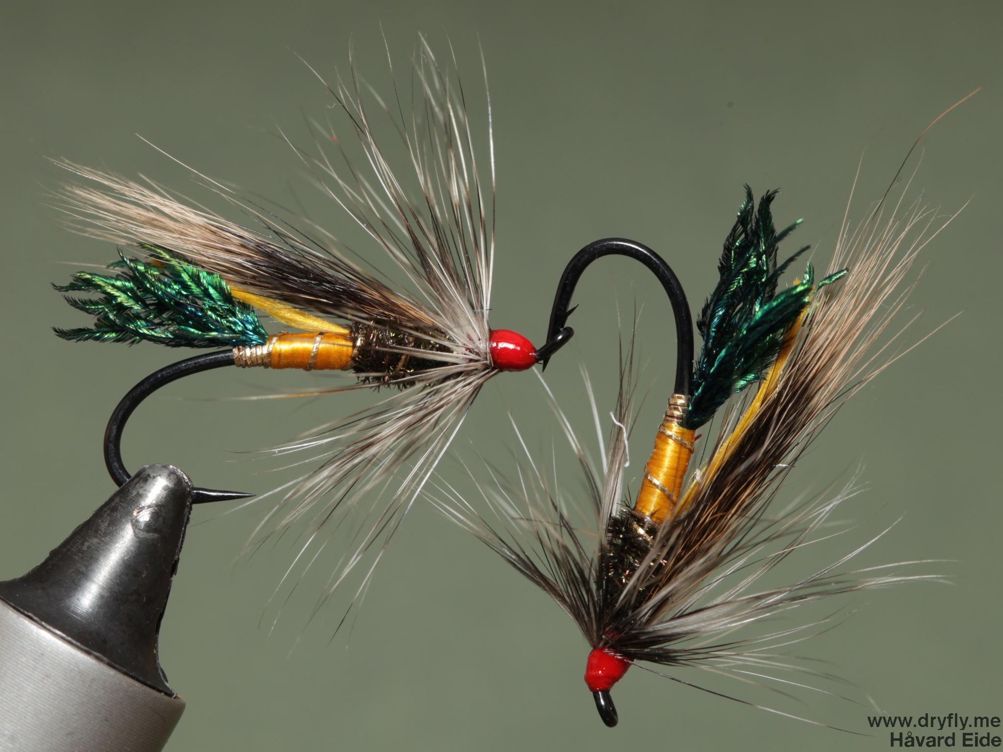 Rusty Rat: 10 different sizes and types | flyfisher.org