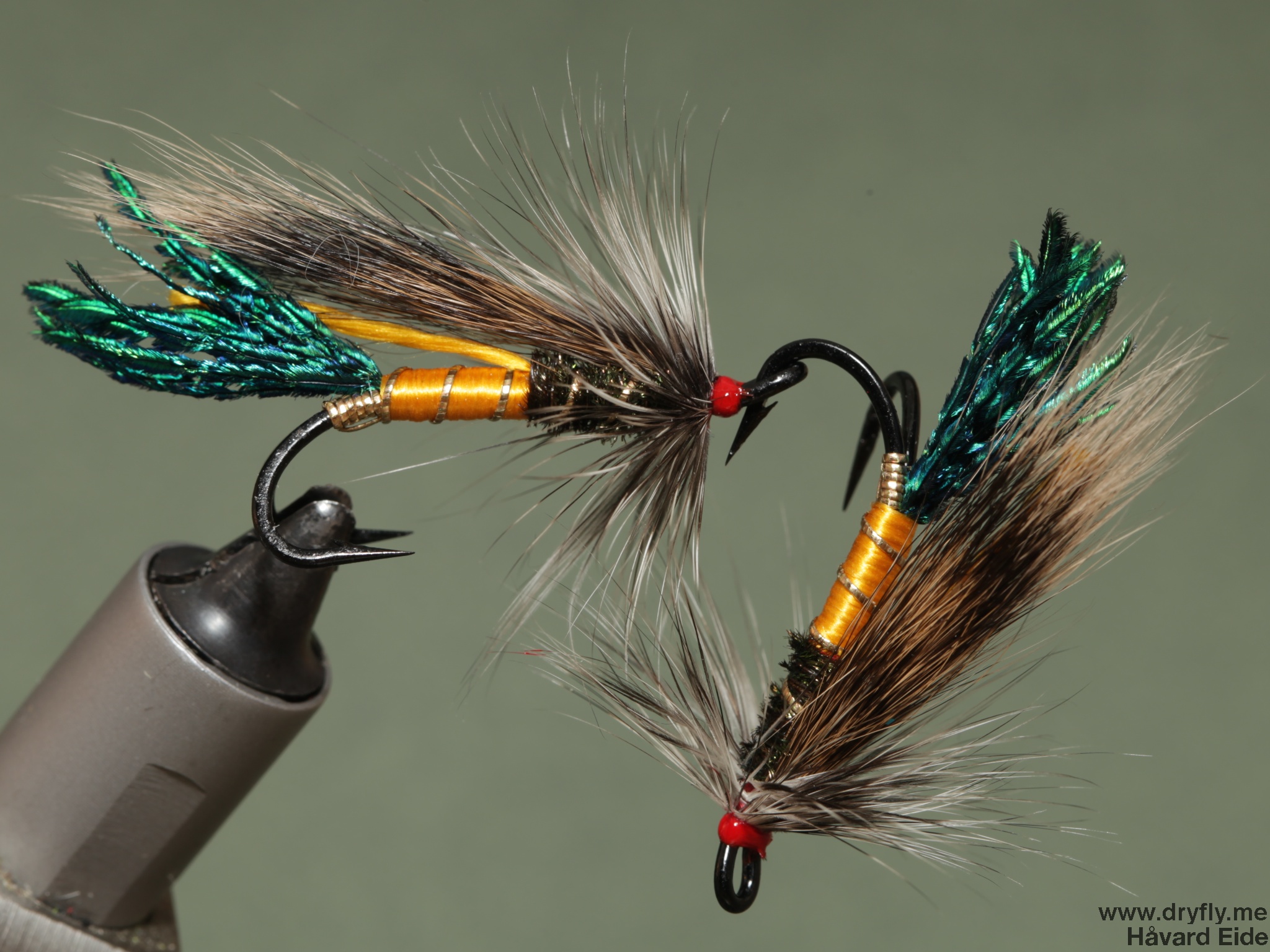 Rusty Rat: 10 different sizes and types | flyfisher.org