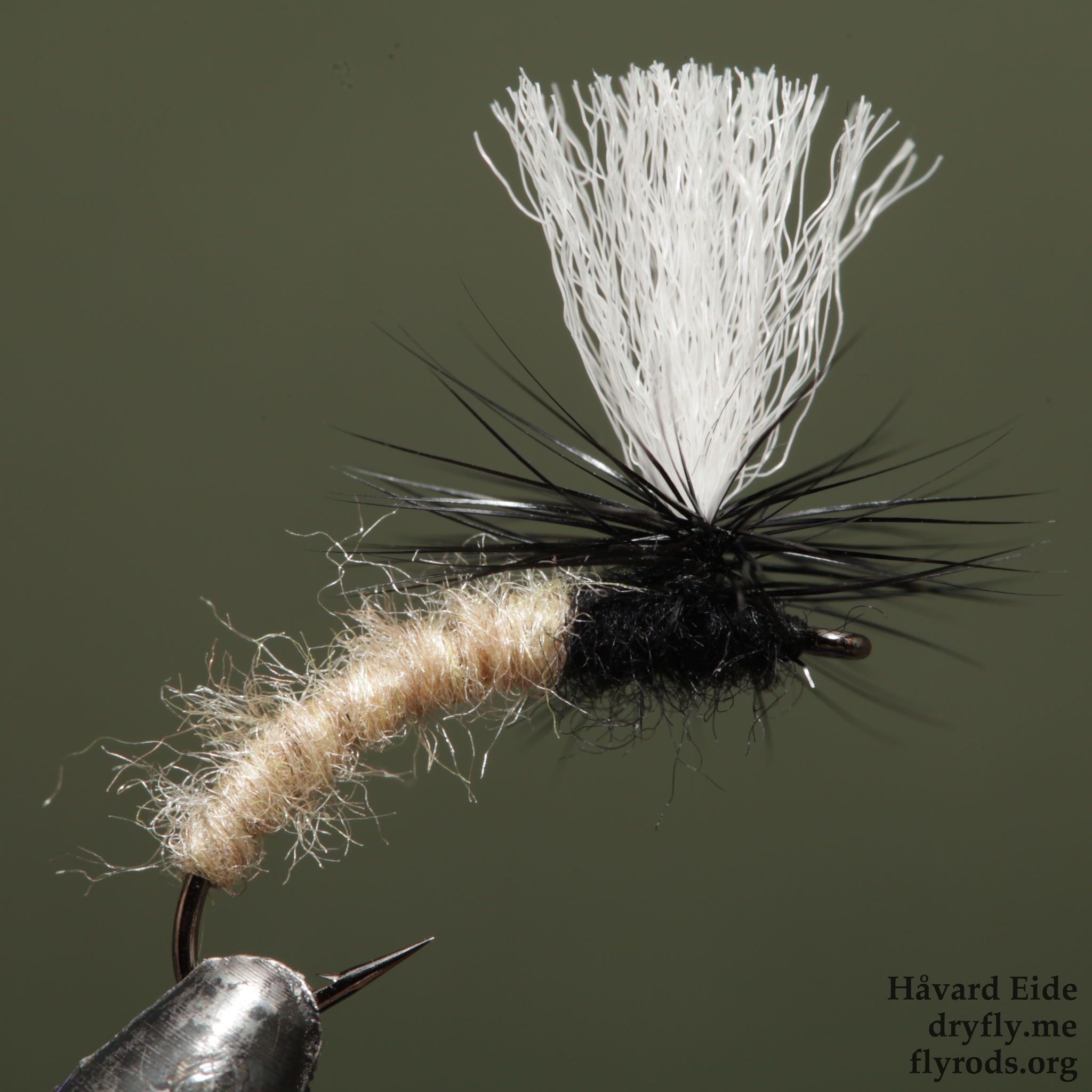 fly-rite | flyfisher.org