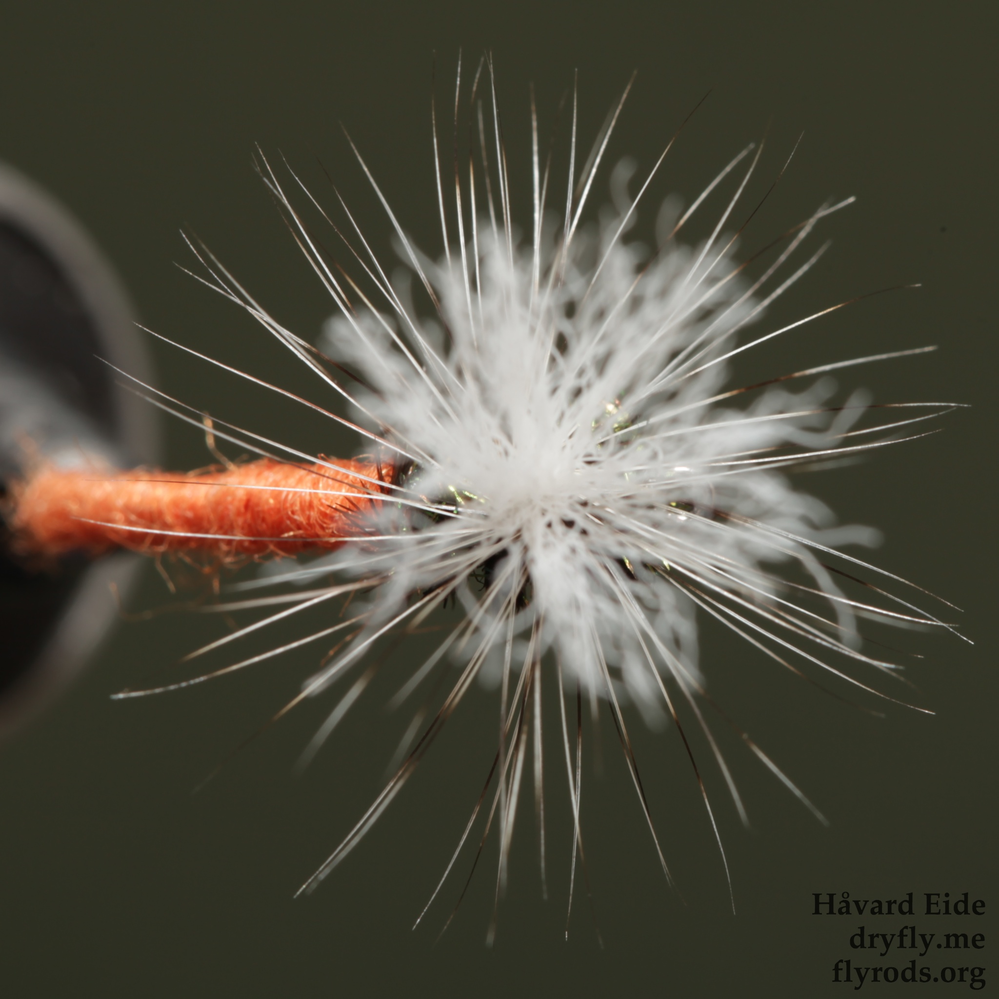 fly-rite | flyfisher.org