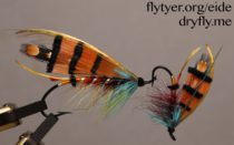 Salmon | flyfisher.org | Page 6