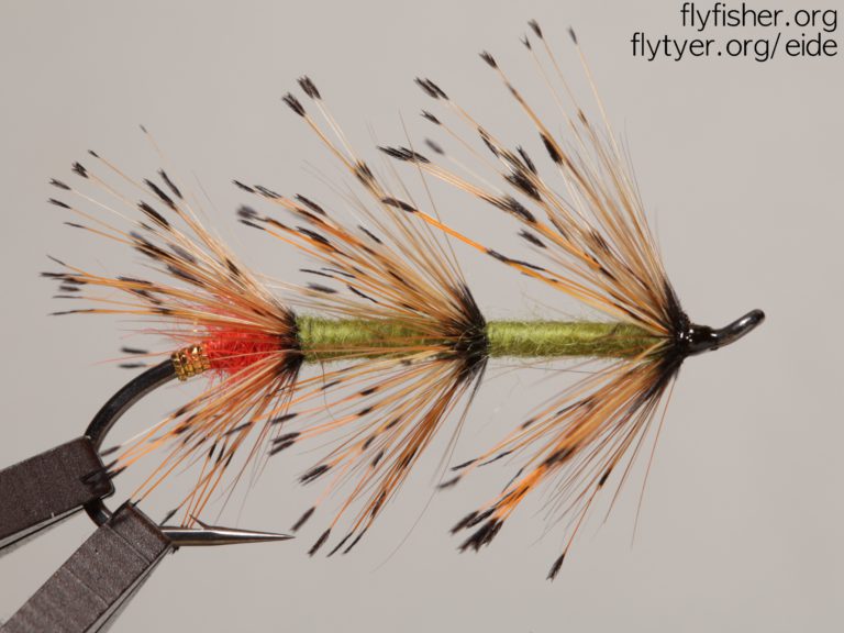 Salmon | flyfisher.org | Page 6