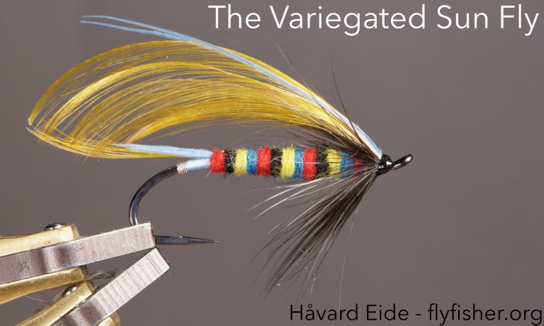 Variegated Sun Fly | flyfisher.org