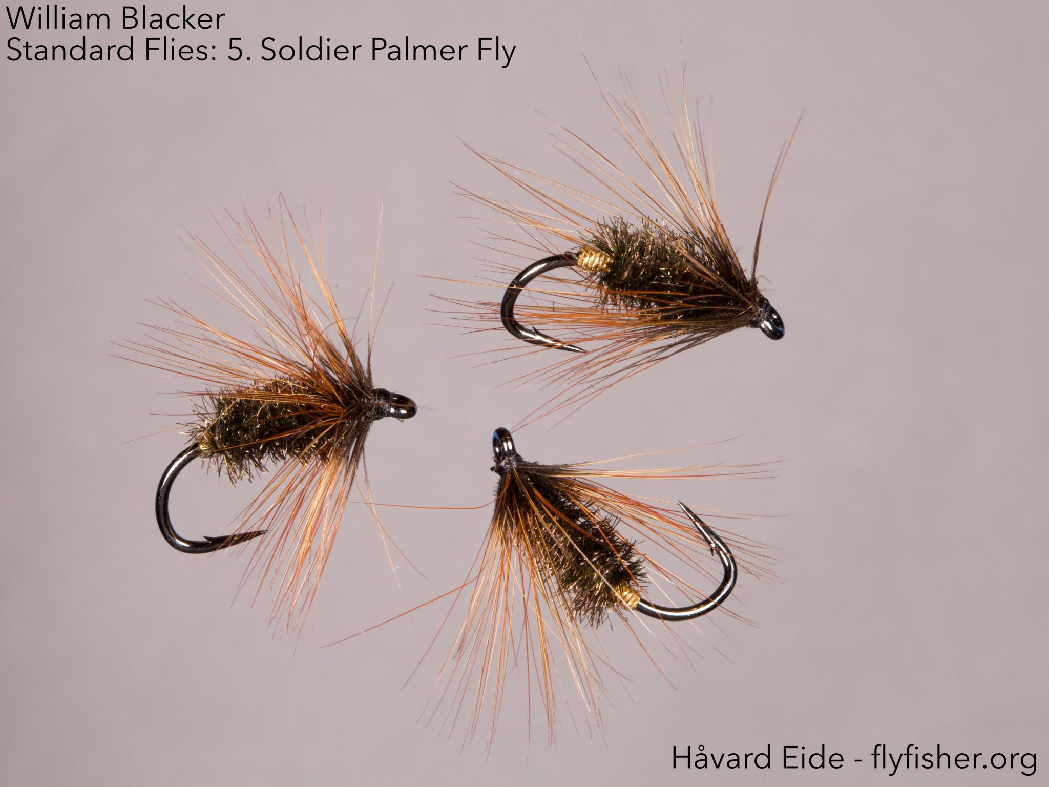 William Blacker: Standard Flies: 5. Soldier Palmer Fly | flyfisher.org