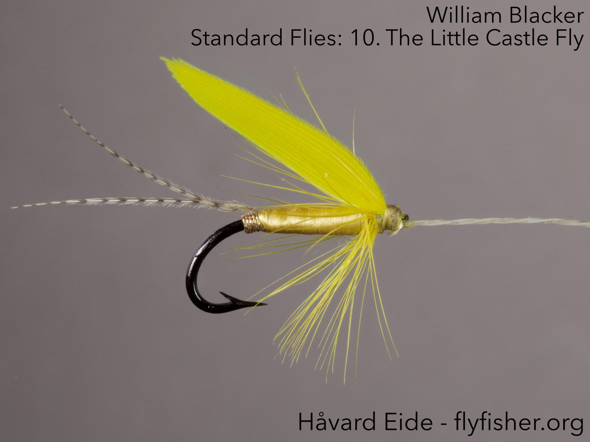 William Blacker: Standard flies 10. The Little Castle Fly | flyfisher.org