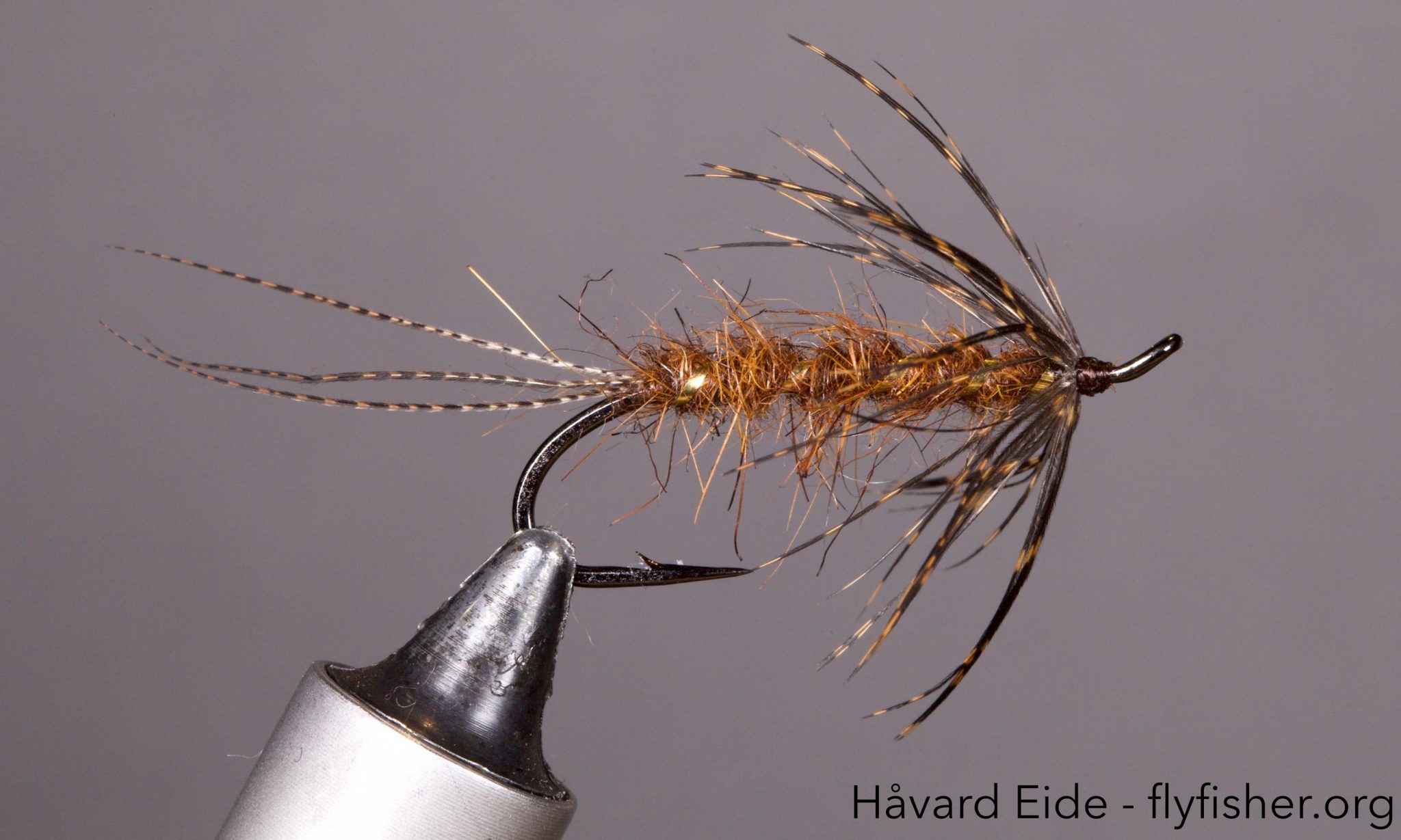 Salmon spiders/wets | flyfisher.org