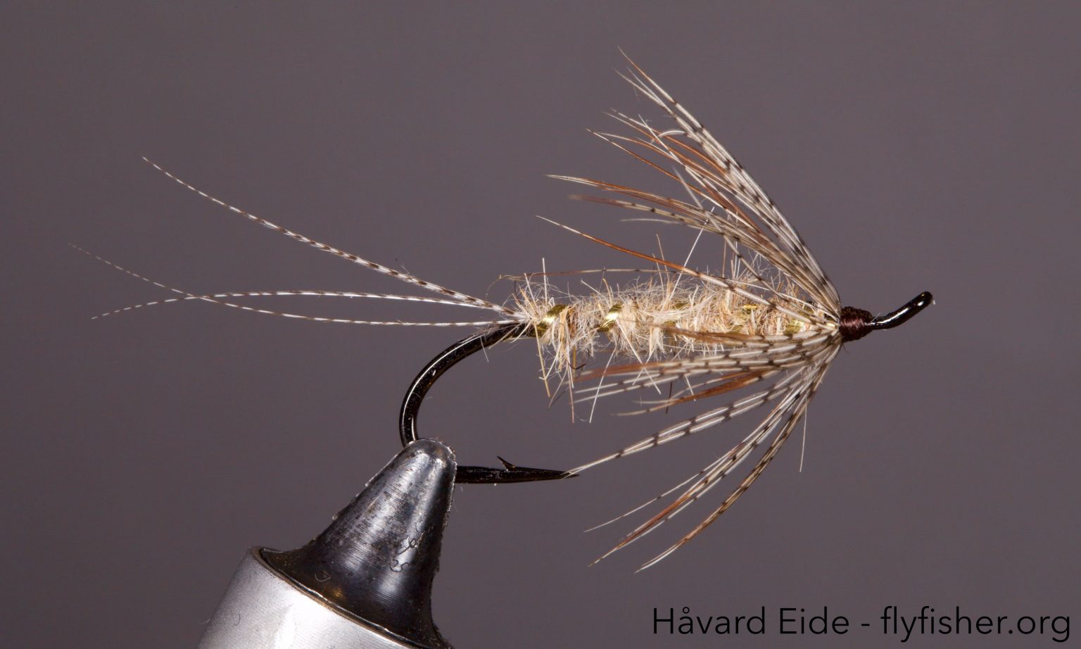 Salmon spiders/wets | flyfisher.org