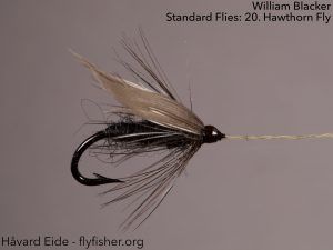flyfisher.org | Flyfishing, flytying and hooks | Page 4