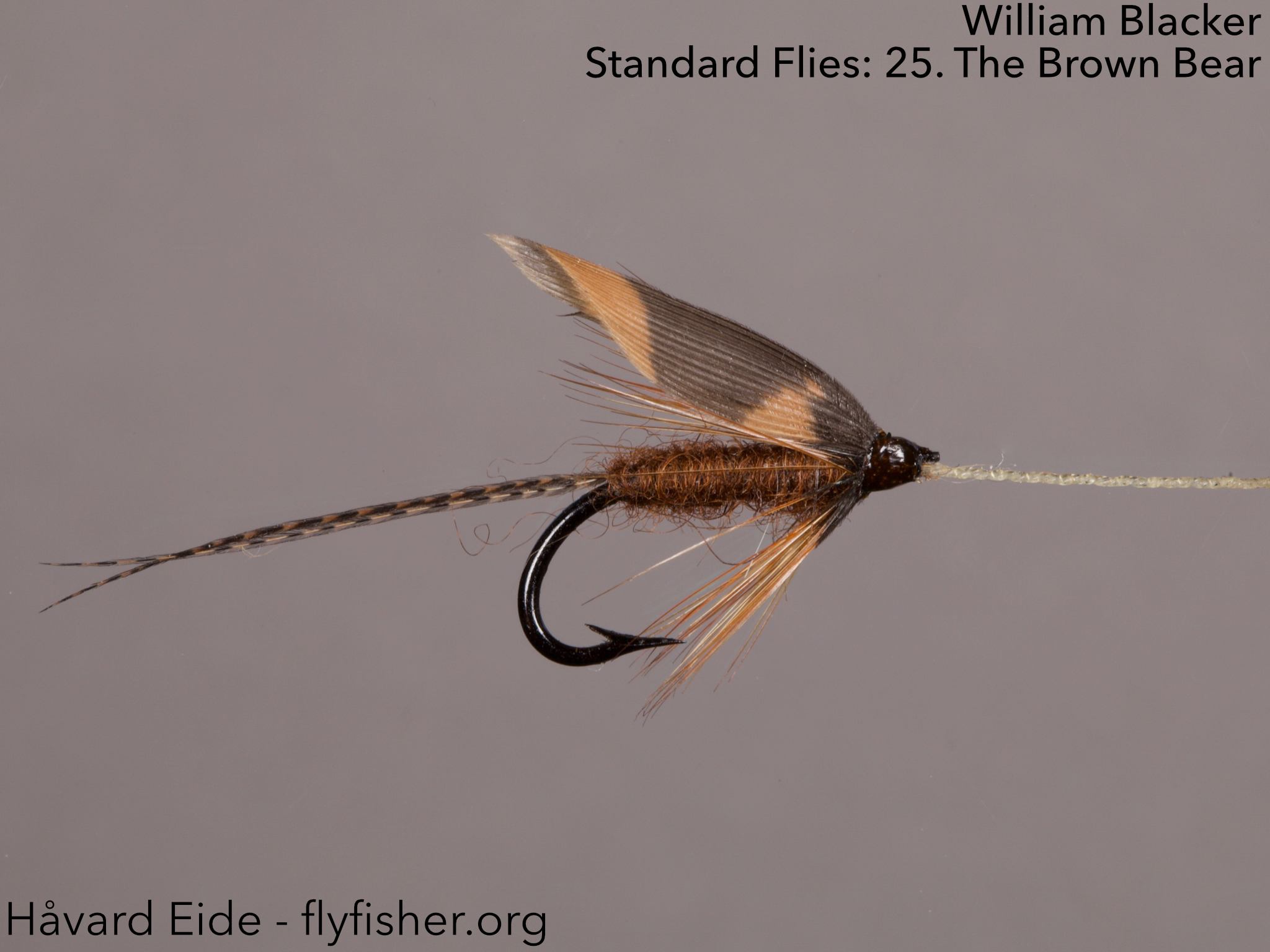 William Blacker: Standard Flies 25. The Brown Bear | flyfisher.org