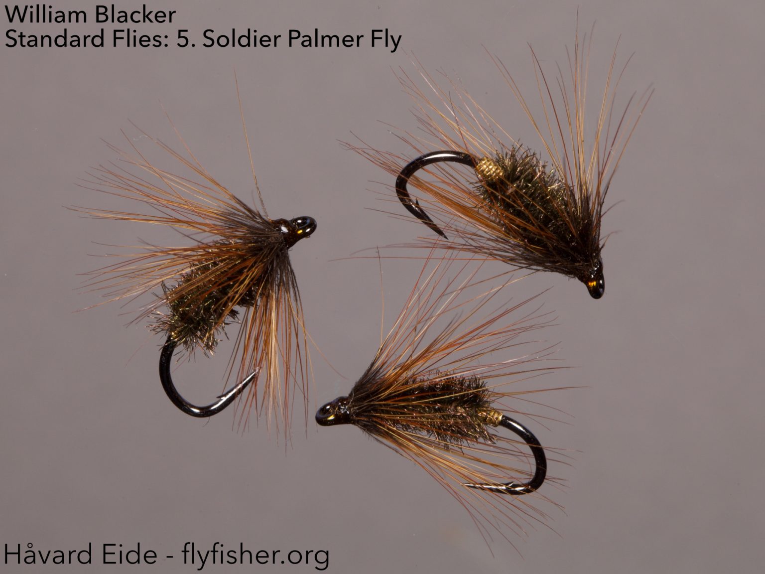 William Blacker: Standard Flies 5. Soldier Palmer Fly | flyfisher.org