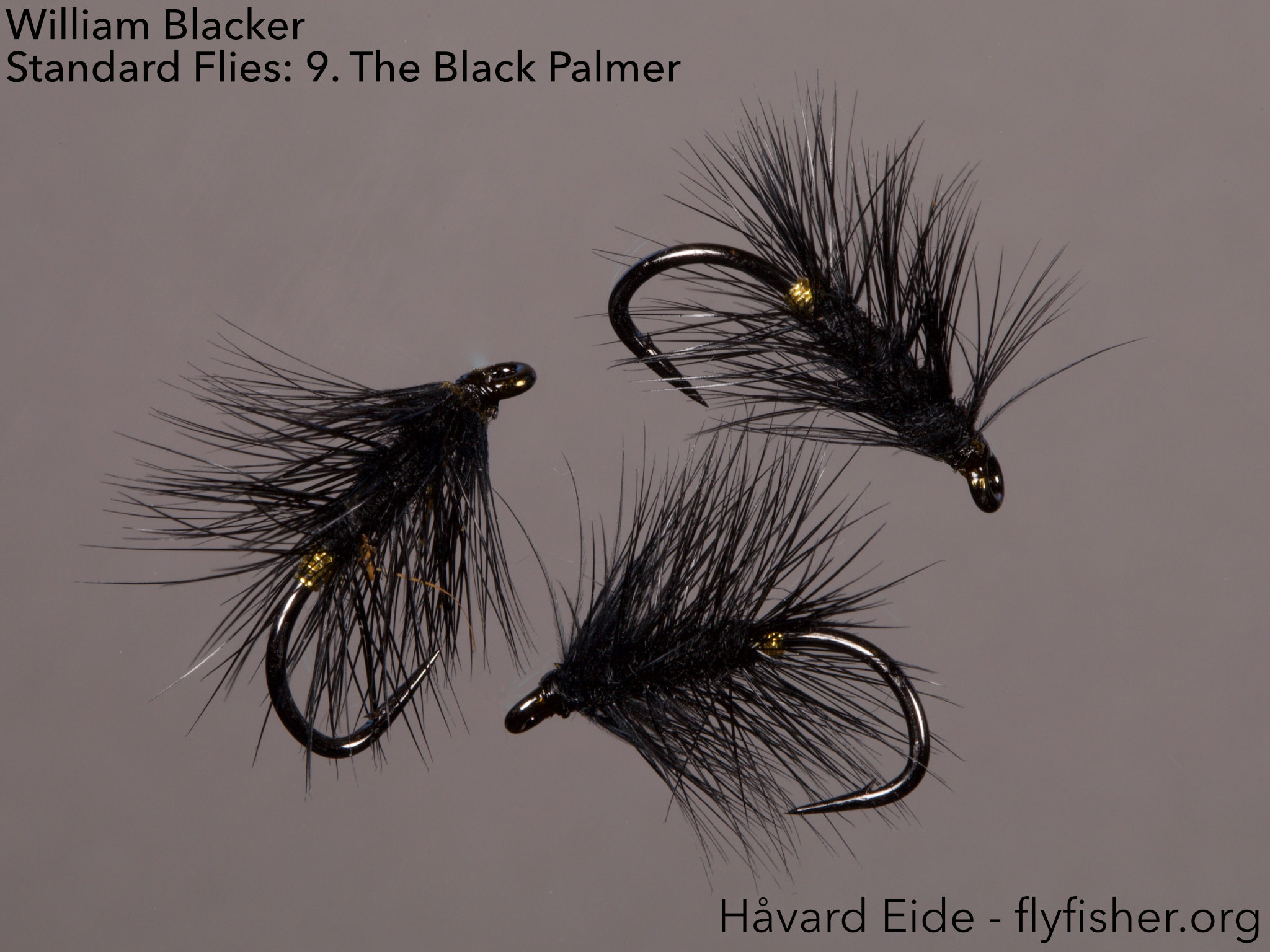 William Blacker: Standard Flies 9. The Black Palmer | flyfisher.org